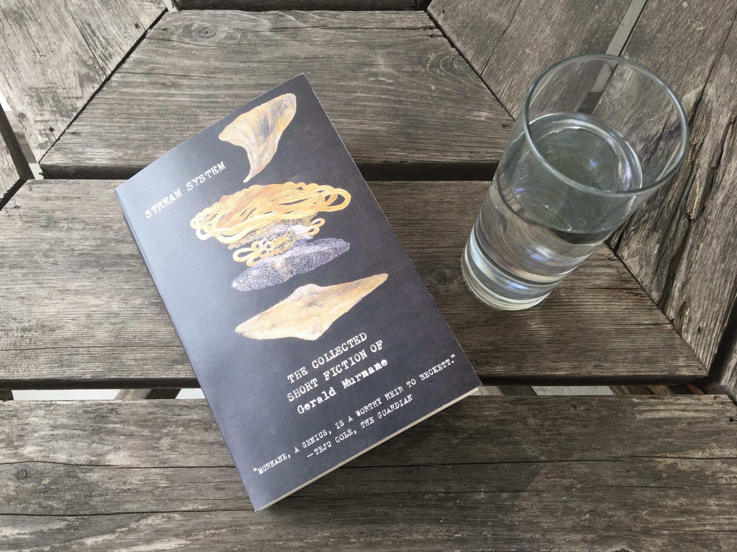 31 Days of Stories 2021, Day 31: “Precious Bane” by Gerald Murnane ...